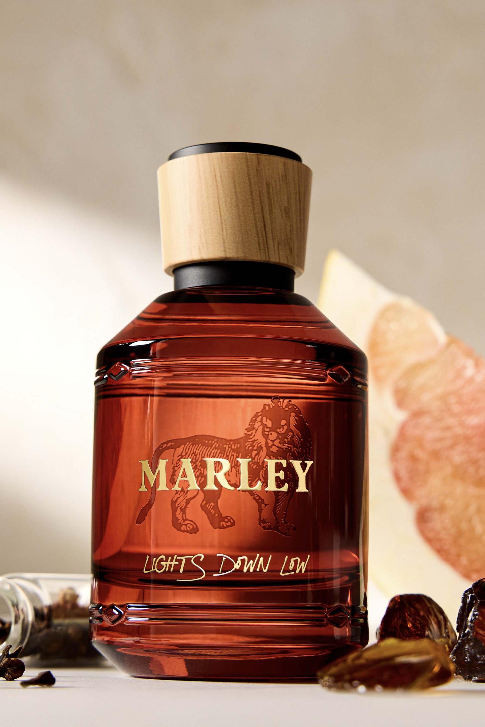 CAA Brand Management | CAA